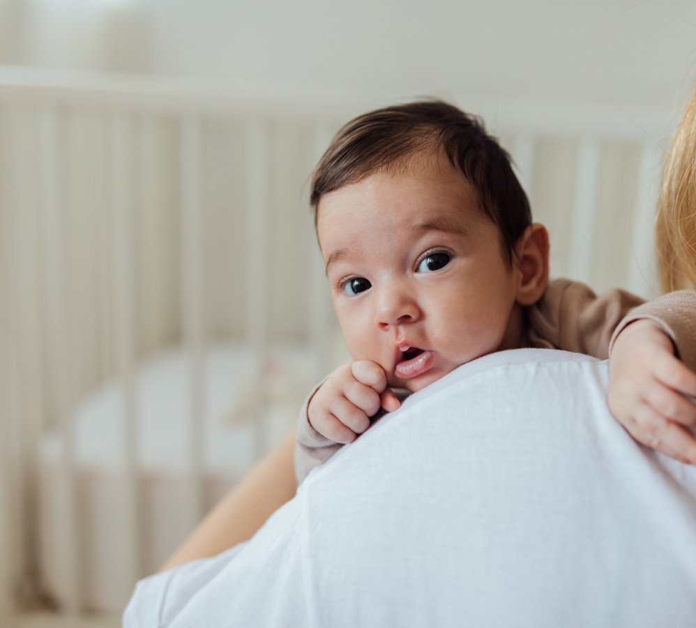 HiPP Dutch vs HiPP German – A Parent’s Guide - OrganicBabyFormula.com